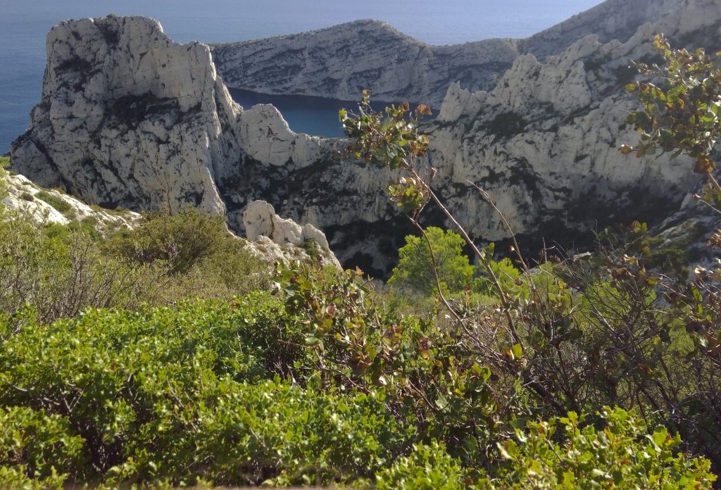 Botany explorations in Provence garrigue | En route Provence